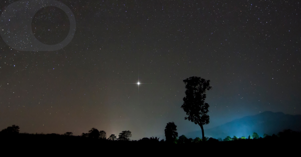 Moving Beyond Cost as the North Star: Driving a Comprehensive Strategy ...